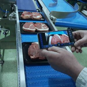 Case Study - TESCO - Using AR to Increase Supply Chain Auditing ...